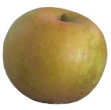 Hidden Hollow Orchard Apple Varieties - Golden Russet